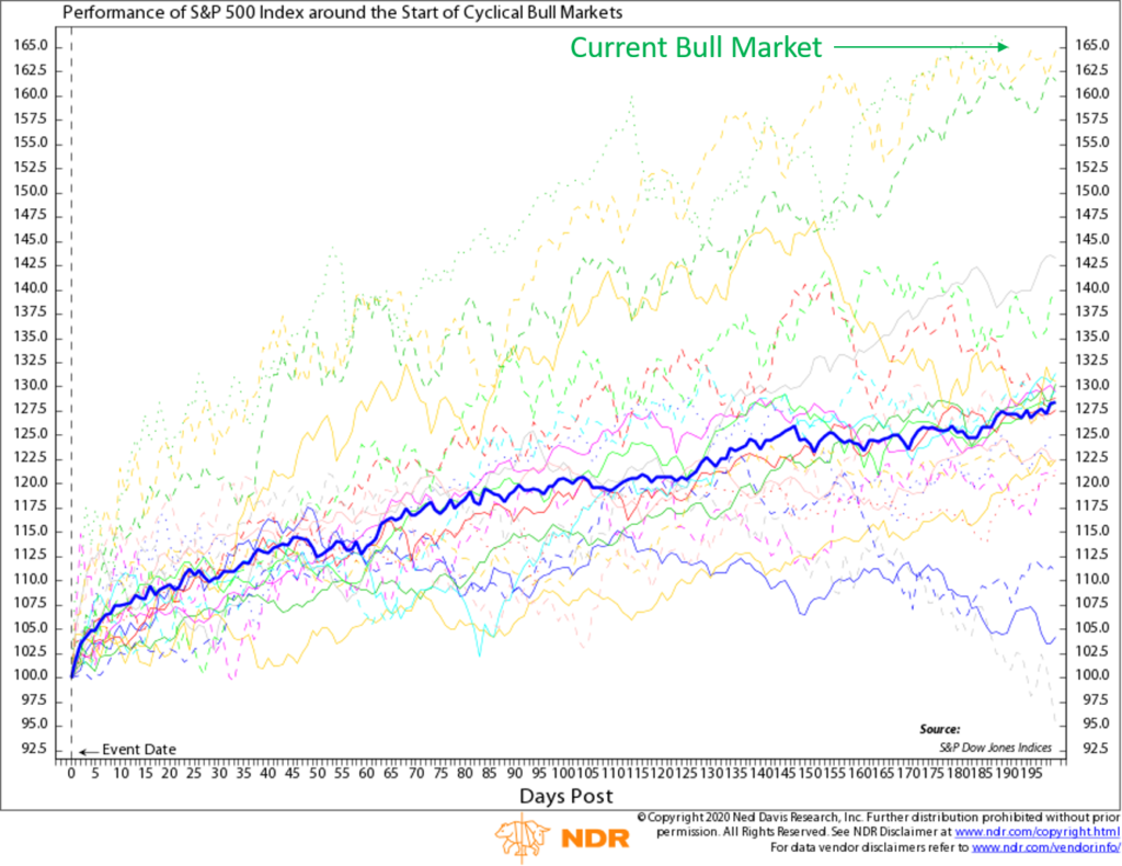 Chart of the Week: The Strongest Bull - NelsonCorp Wealth Management