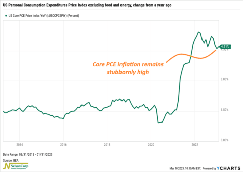 Persistent - NelsonCorp Wealth Management